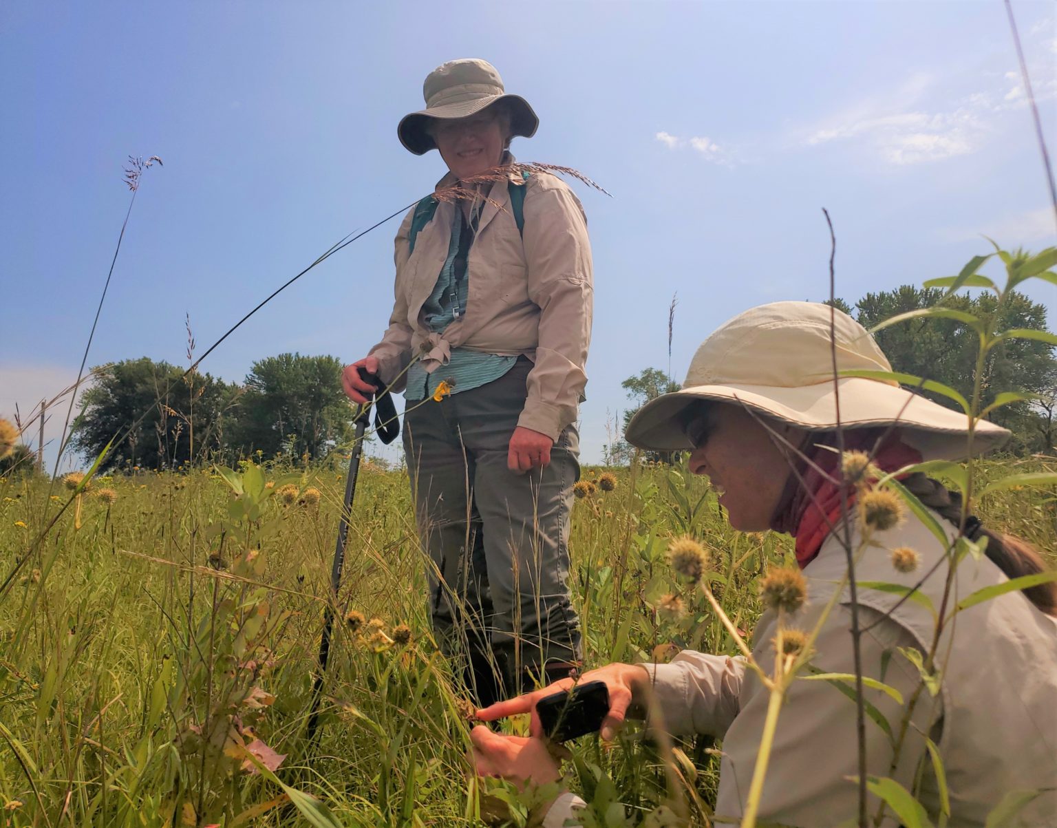 Home - Iowa Native Plant Society