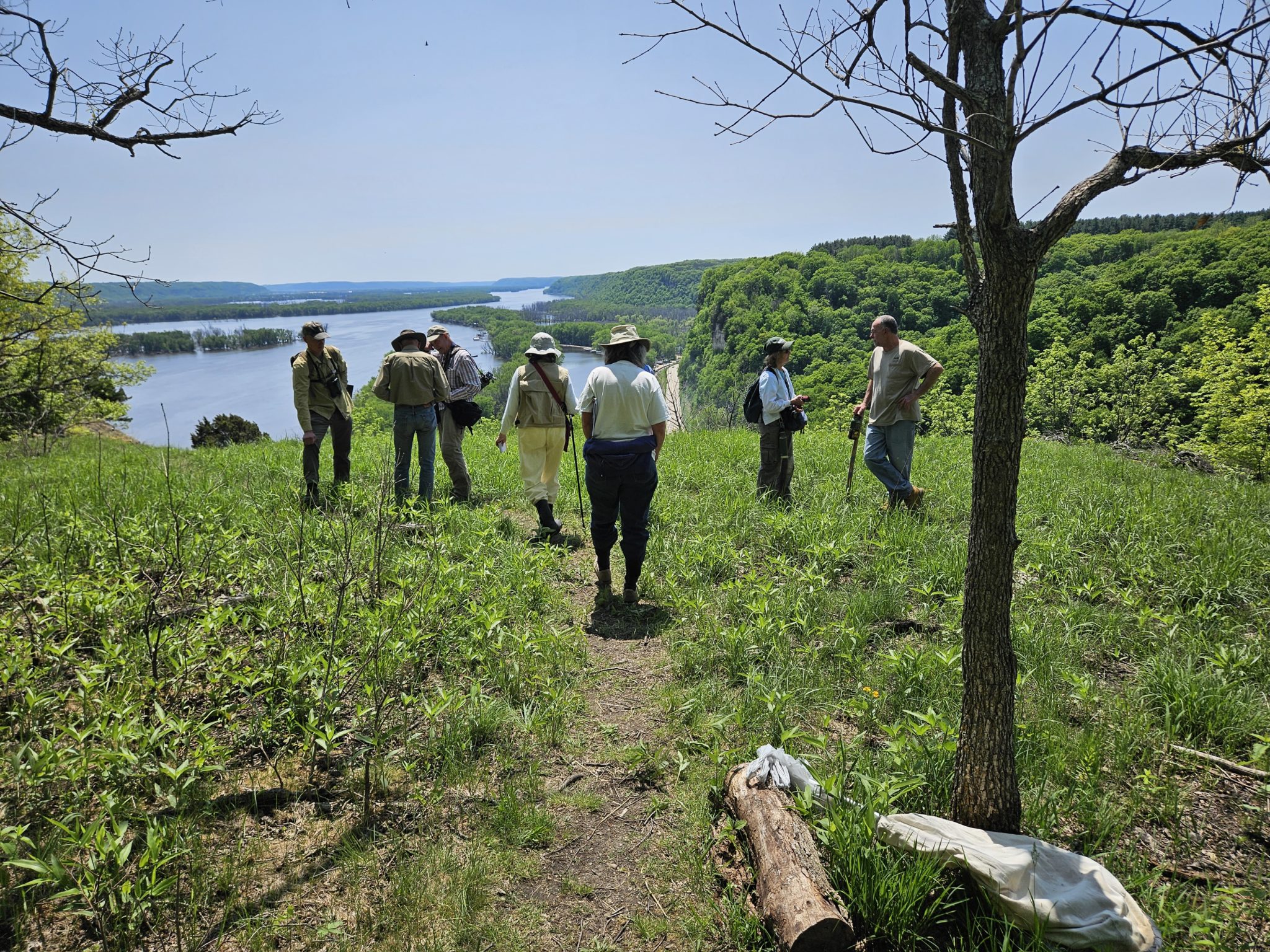 Yellow River State Forest Hike - Iowa Native Plant Society