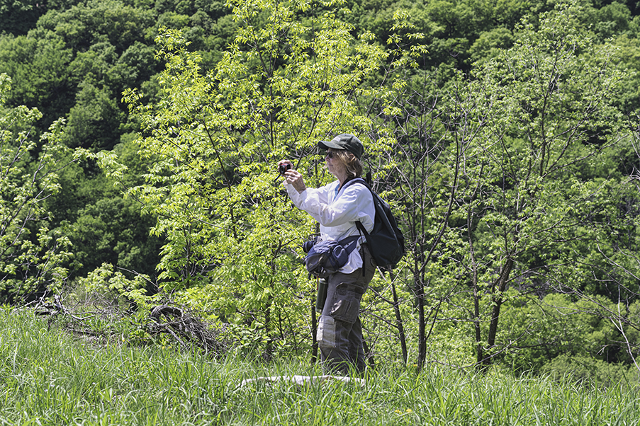 Home - Iowa Native Plant Society